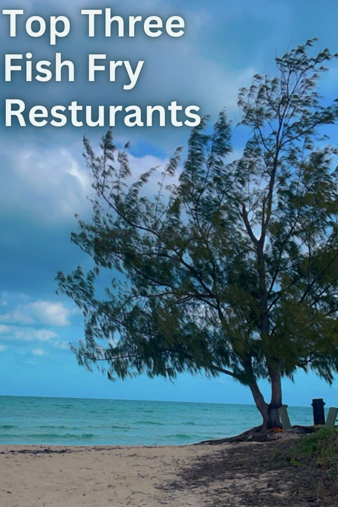 Top 3 Fish Fry Restaurants in Nassau Bahamas - Zanny's Guide